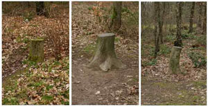 Patrick Corillon : Histoires à dormir debout - Culture, le magazine ...